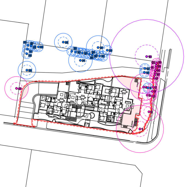 AQF Level 5 Consulting Arborist in NSW | Tree Survey