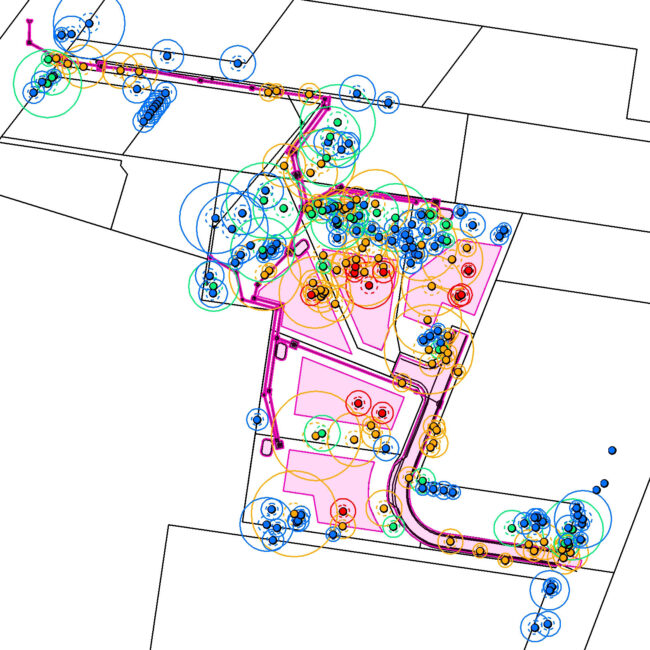 Tree Risk Assessment NSW | Tree Survey
