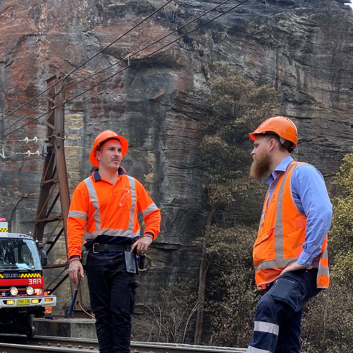 Tree Survey Reports NSW - Level 5 Arborists | Tree Survey