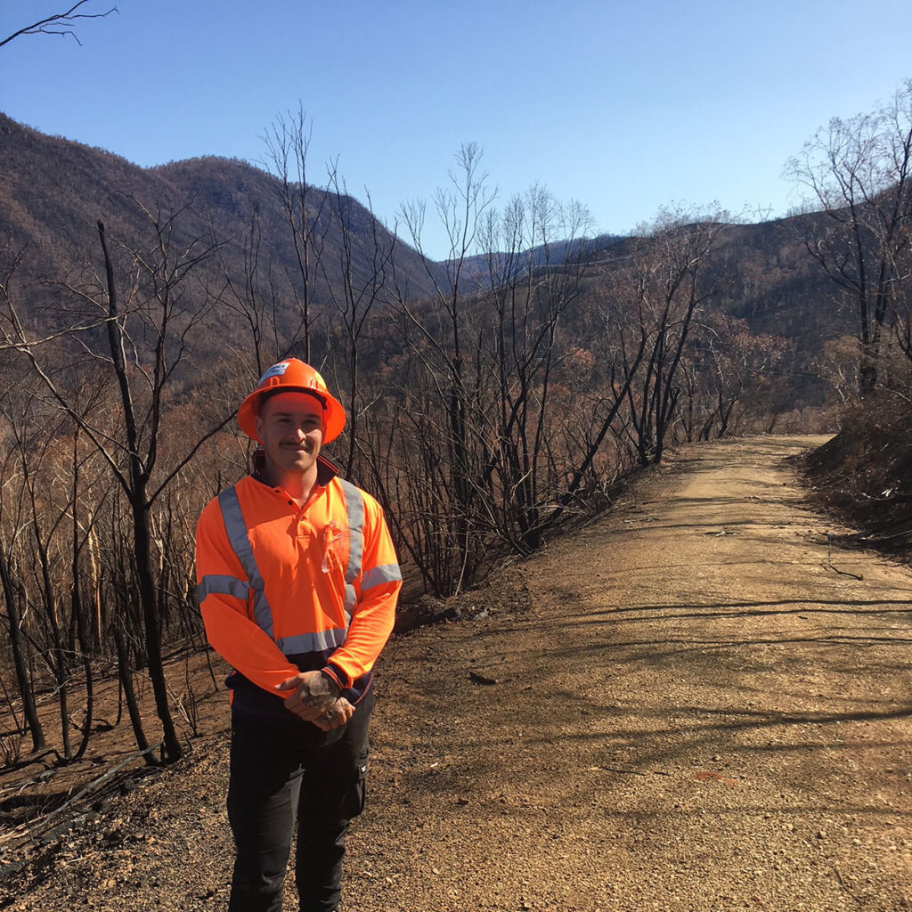 Expert Witness Services: Tree Survey