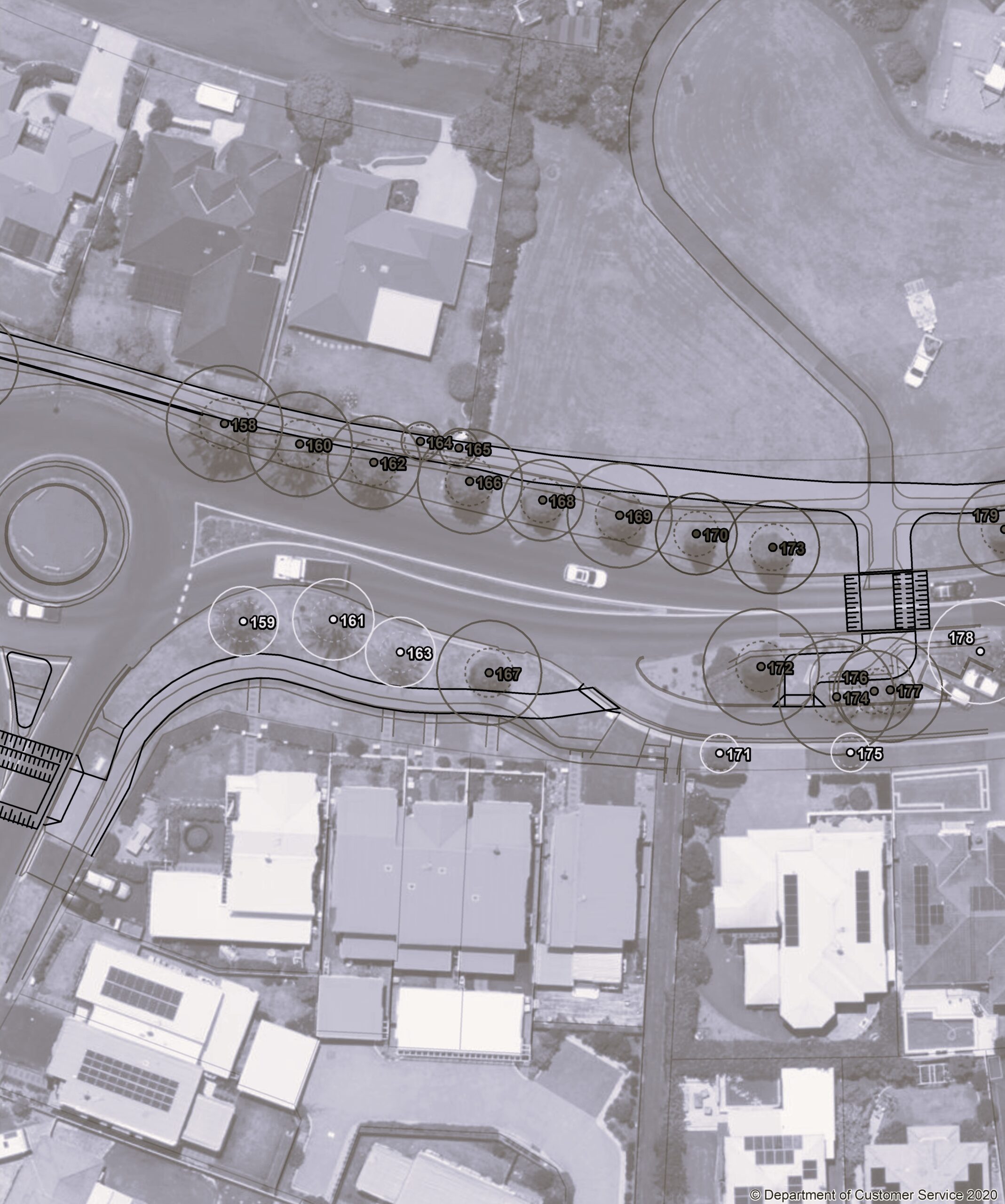 Bailey St Footpath Connection : Tree Survey