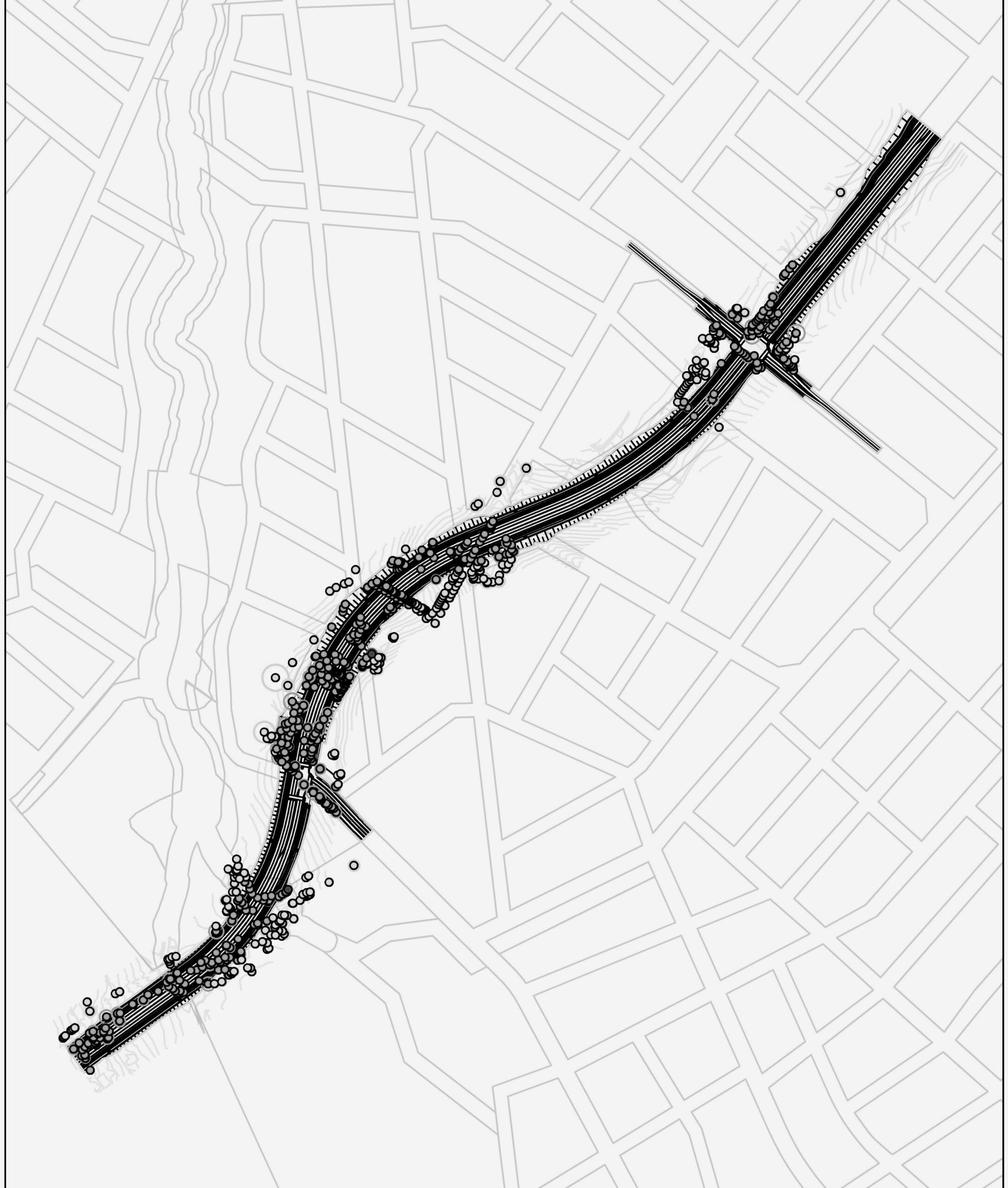 Rickard Road Upgrade : Tree Survey